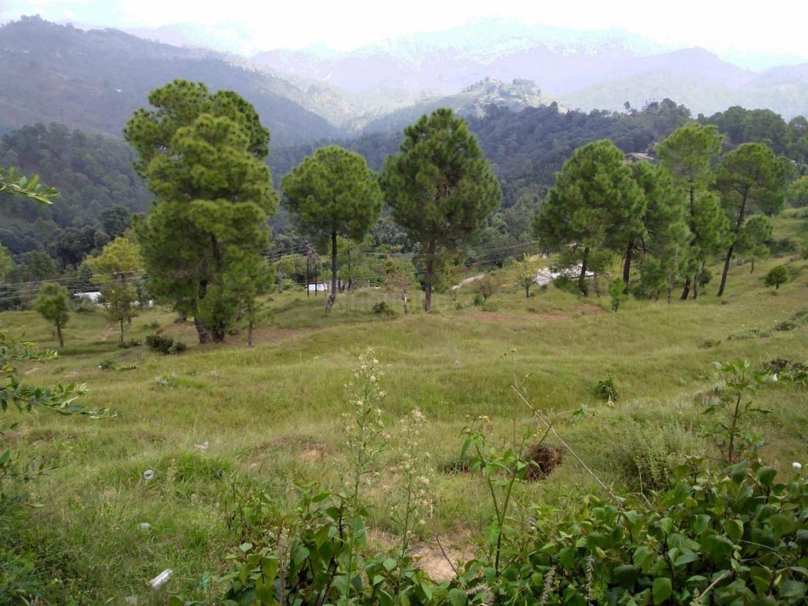 #1 Best Property Dealer in Dehradun | Buy Plot in Low Cost